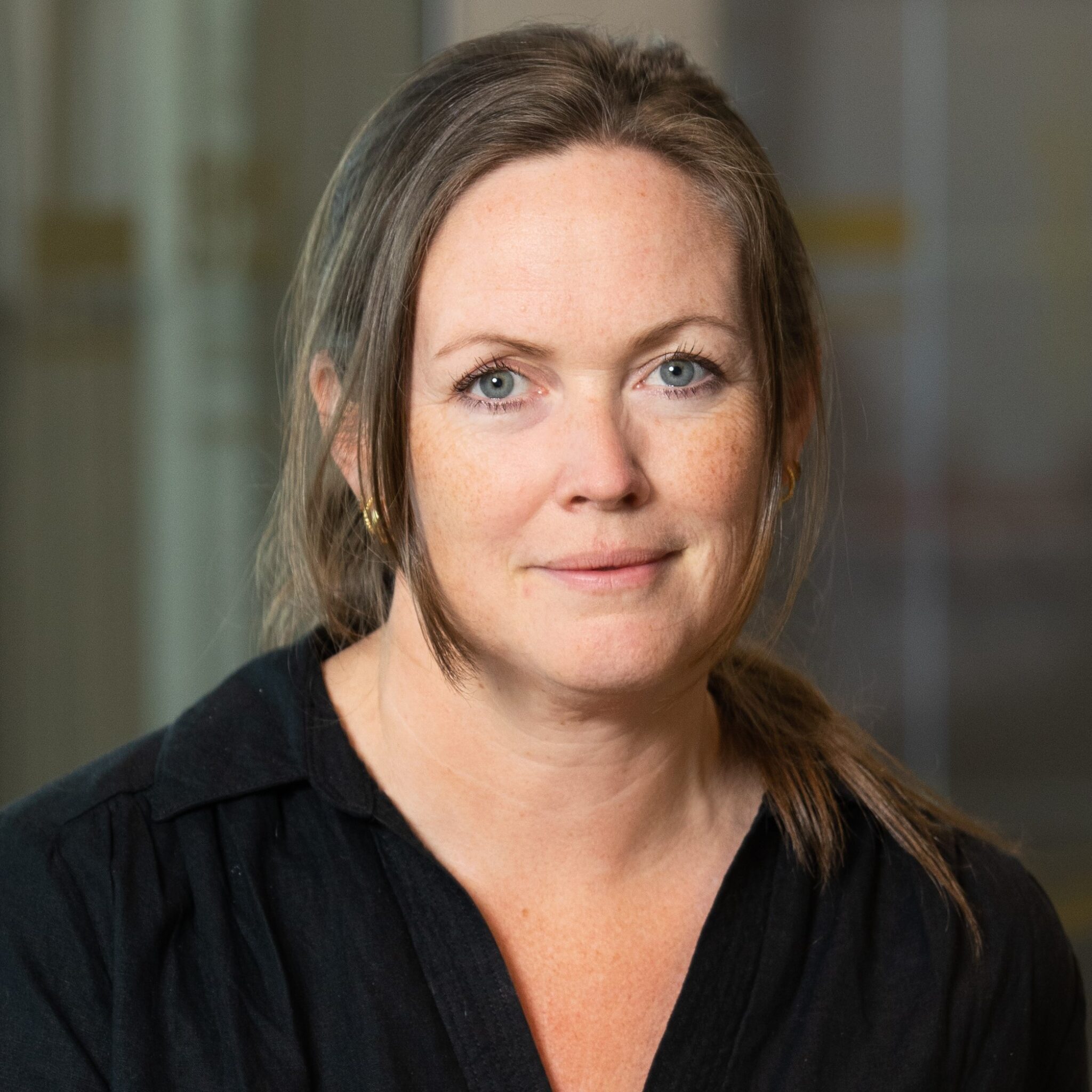 Analysedagen 2023 - Strategi- og analyseforeningen